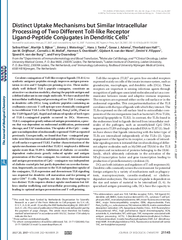 (PDF) Distinct Uptake Mechanisms but Similar Intracellular Processing of Two Different Toll-like ...