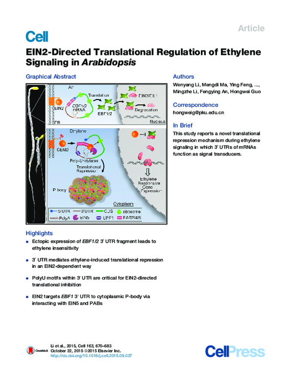 (PDF) EIN2-Directed Translational Regulation of Ethylene Signaling in ...
