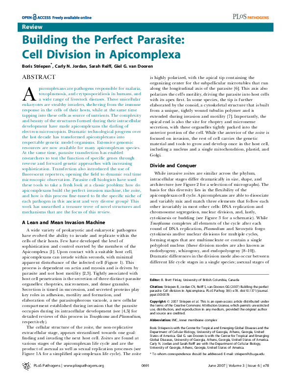 (PDF) Building the Perfect Parasite: Cell Division in Apicomplexa