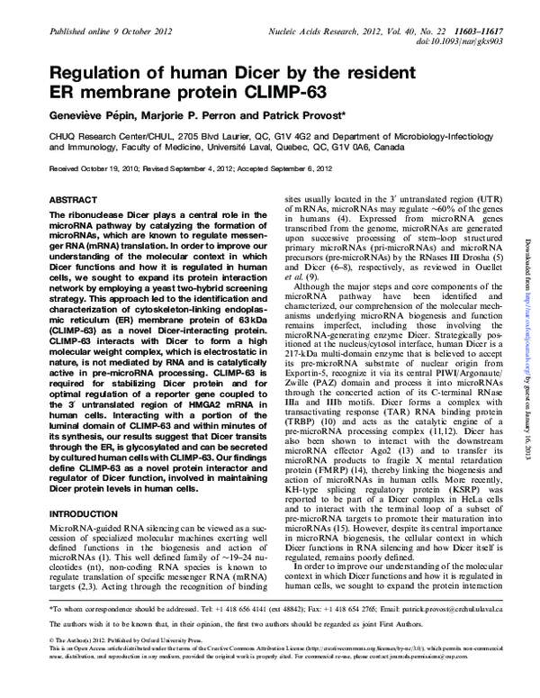(PDF) Regulation of human Dicer by the resident ER membrane protein ...