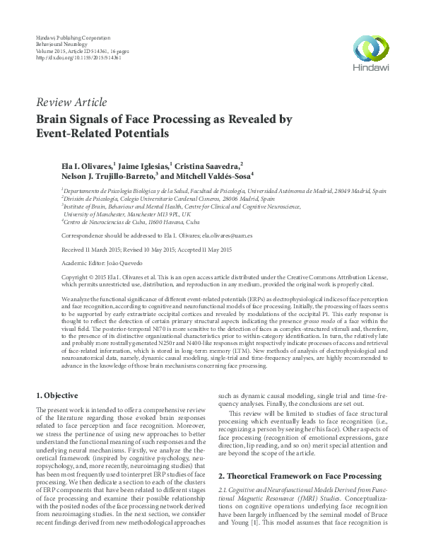 (PDF) Brain Signals of Face Processing as Revealed by Event-Related Potentials