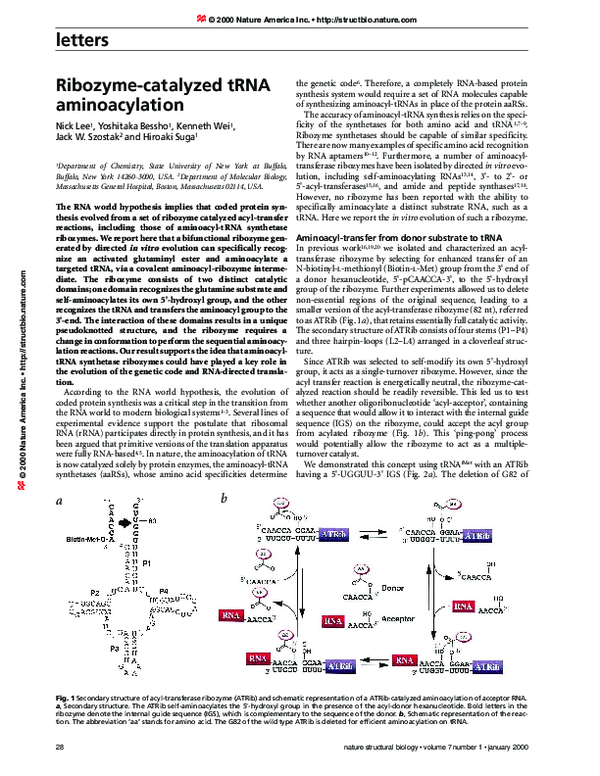 (PDF) Ribozyme-catalyzed tRNA aminoacylation