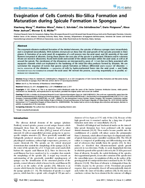 (PDF) Evagination of cells controls bio-silica formation and maturation ...