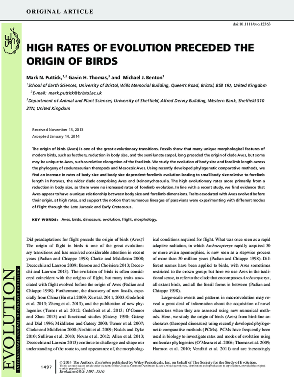(PDF) HIGH RATES OF EVOLUTION PRECEDED THE ORIGIN OF BIRDS