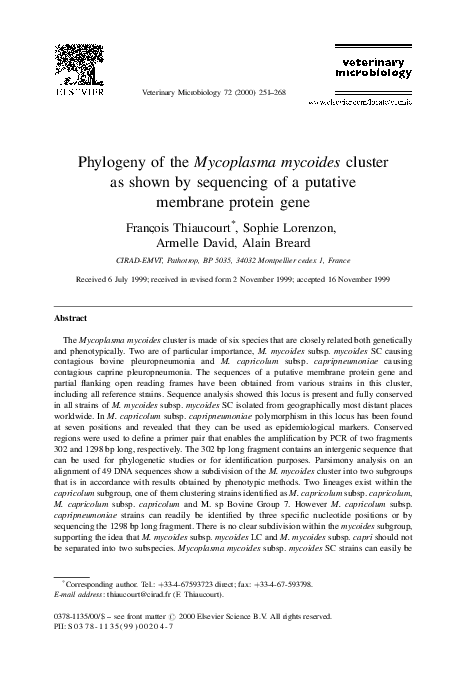 (PDF) Phylogeny of the Mycoplasma mycoides cluster as shown by ...