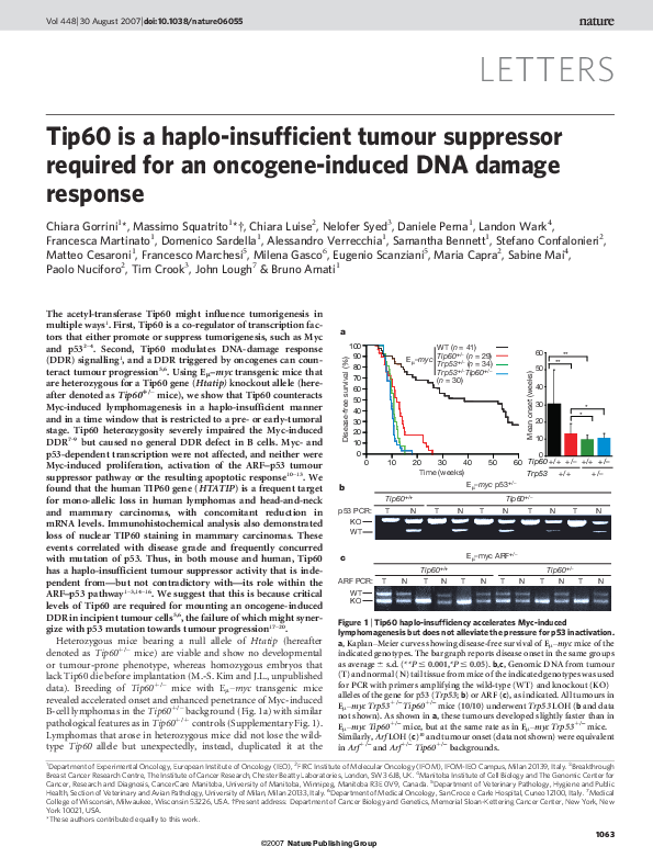 (PDF) Tip60 is a haplo-insufficient tumour suppressor required for an ...