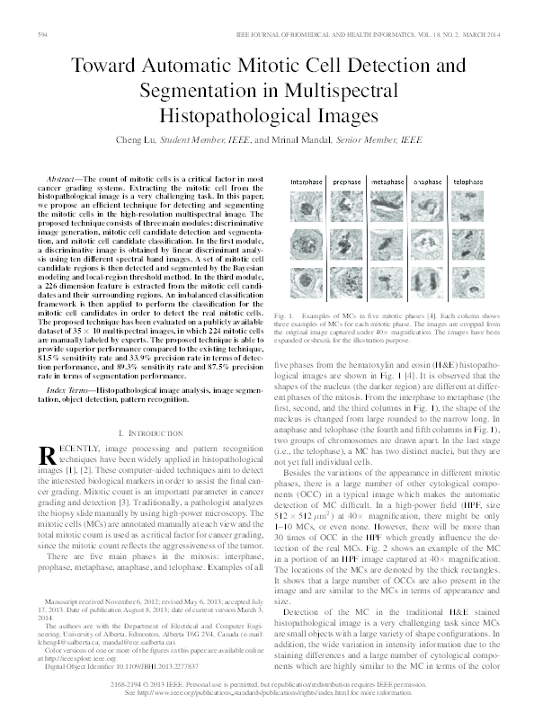 Pdf Toward Automatic Mitotic Cell Detection And Segmentation In Multispectral