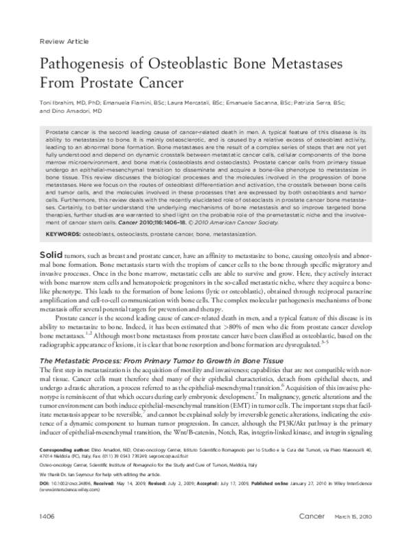 (PDF) Pathogenesis of osteoblastic bone metastases from prostate cancer