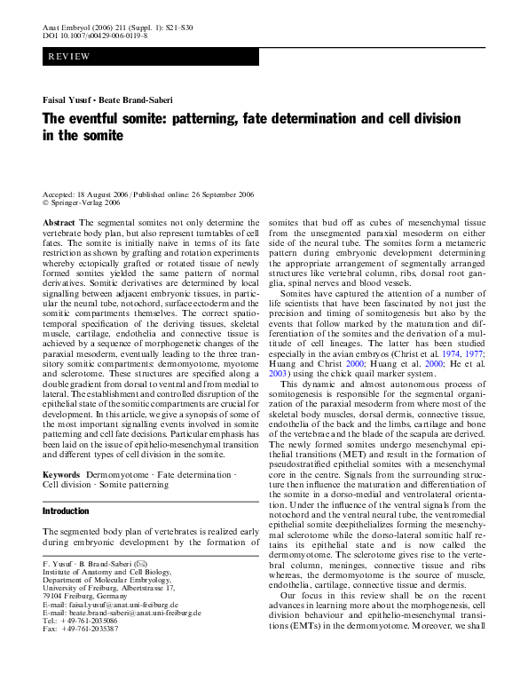 (PDF) The eventful somite: patterning, fate determination and cell ...