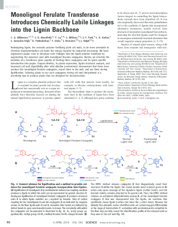 (PDF) Monolignol Ferulate Transferase Introduces Chemically Labile ...