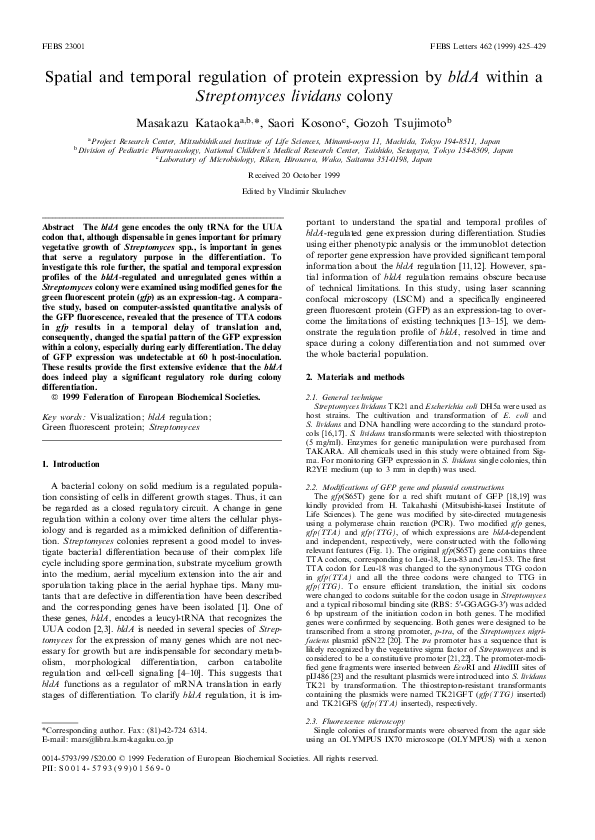 (PDF) Spatial and temporal regulation of protein expression by bldA ...