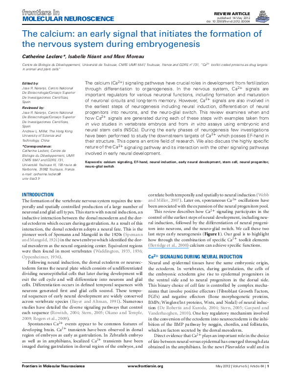 (PDF) The calcium: an early signal that initiates the formation of the ...