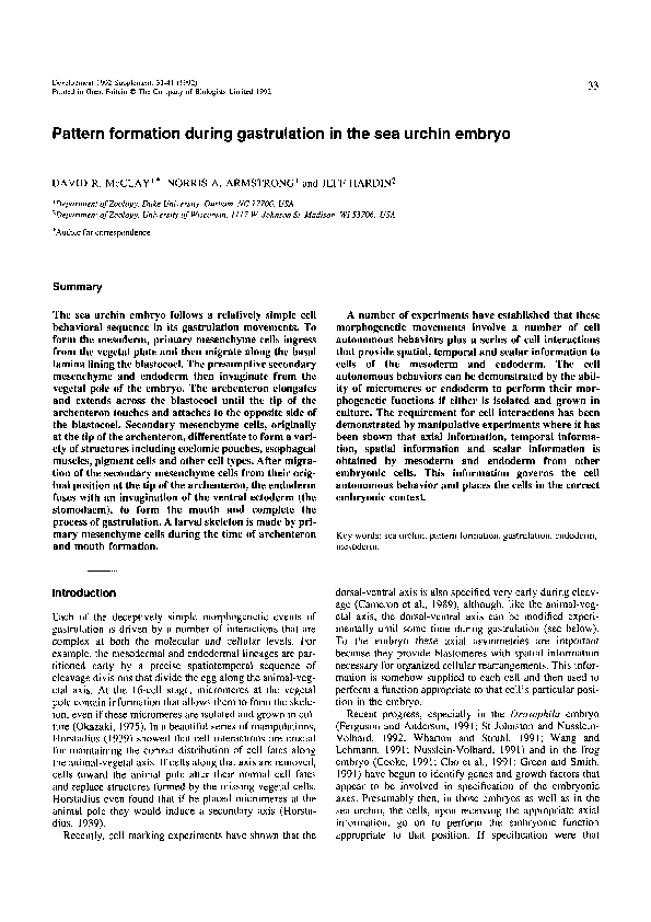 (PDF) Pattern formation during gastrulation in the sea urchin embryo