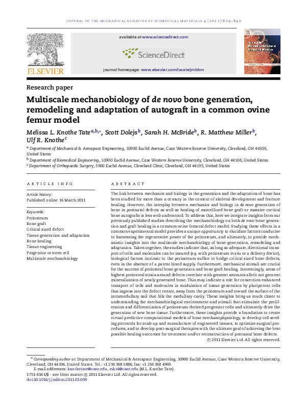 (PDF) Multiscale mechanobiology of de novo bone generation, remodeling and adaptation of ...