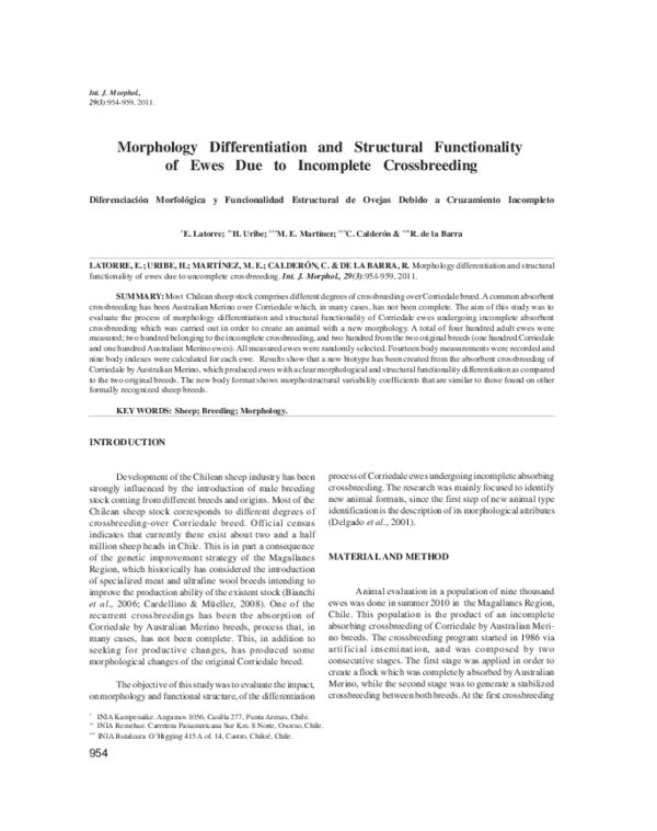 (PDF) Morphology Differentiation and Structural Functionality of Ewes ...