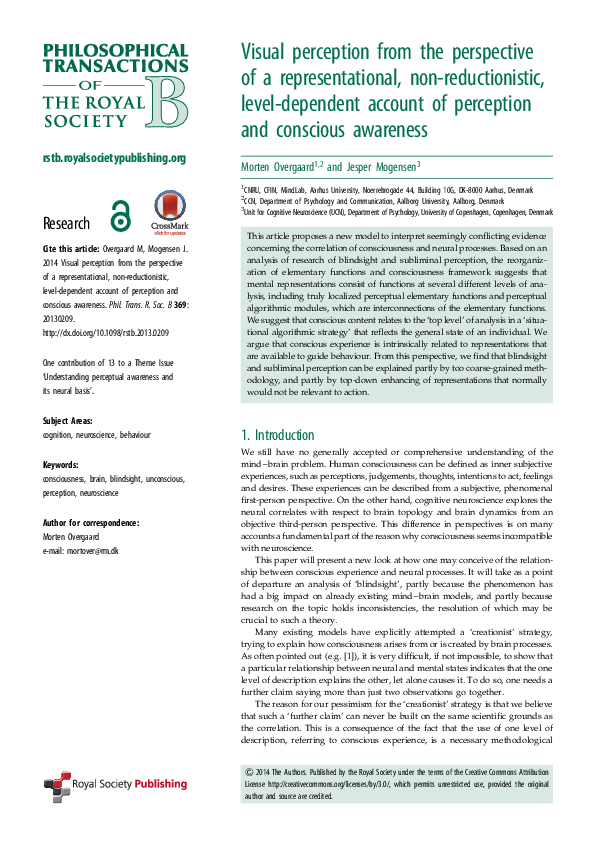 (PDF) Visual perception from the perspective of a representational, non ...