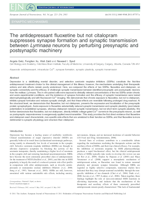 (PDF) The antidepressant fluoxetine but not citalopram suppresses ...
