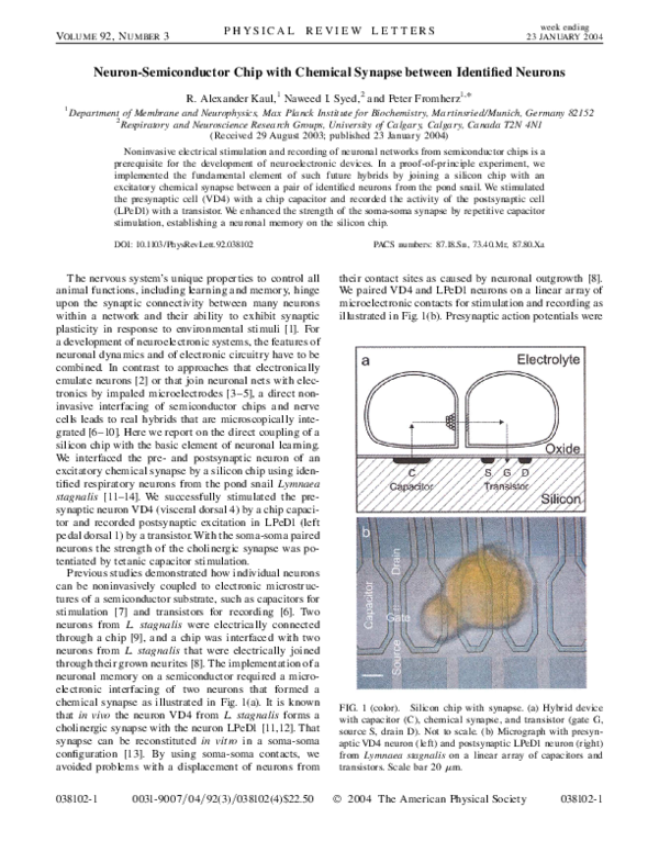 (PDF) Neuron-Semiconductor Chip with Chemical Synapse between ...