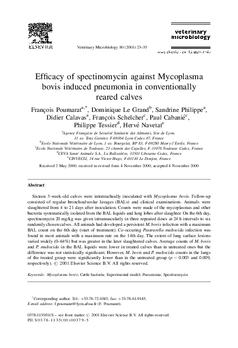 (PDF) Efficacy of spectinomycin against Mycoplasma bovis induced ...