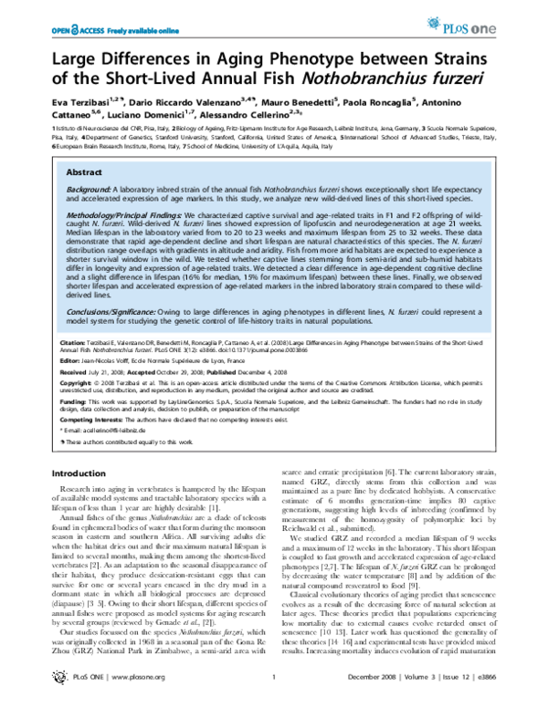 (PDF) The African turquoise killifish Nothobranchius furzeri as a model ...