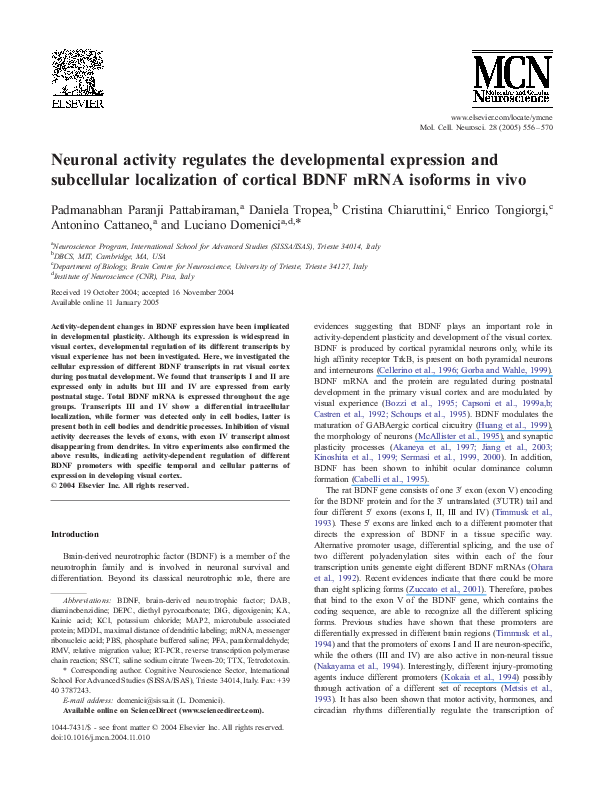 Pdf Neuronal Activity Regulates The Developmental Expression And Subcellular Localization Of