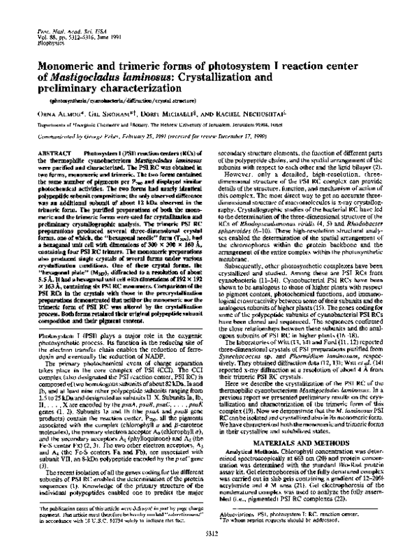 (PDF) Monomeric and trimeric forms of photosystem I reaction center of Mastigocladus laminosus ...
