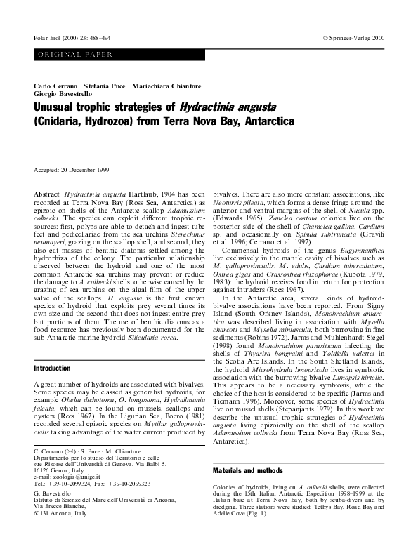 (PDF) Unusual trophic strategies of Hydractinia angusta (Cnidaria ...