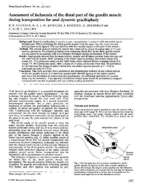 (PDF) GRACILIS MUSCLE TRANSPOSITION FOR TRAUMATIC ANAL INCONTINENCE A ...