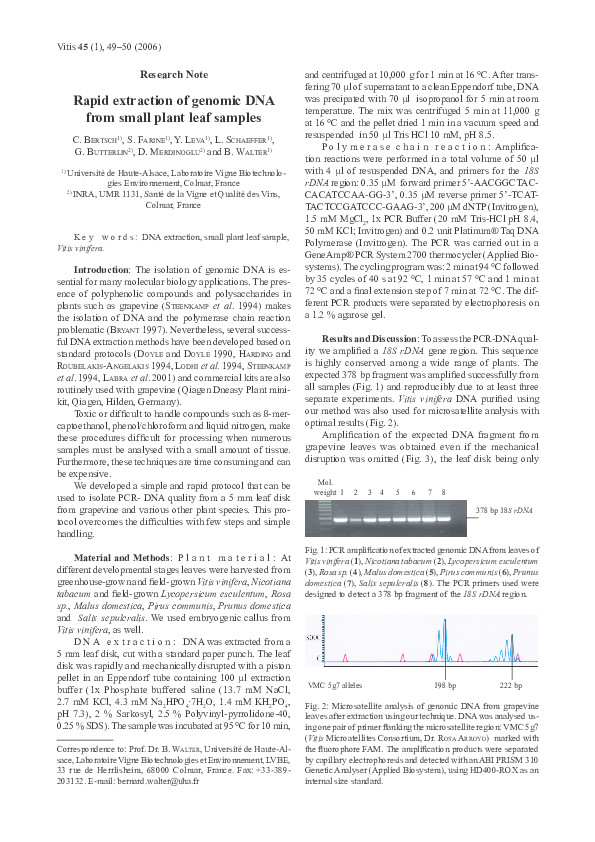 (PDF) Rapid extraction of genomic DNA from small plant leaf samples