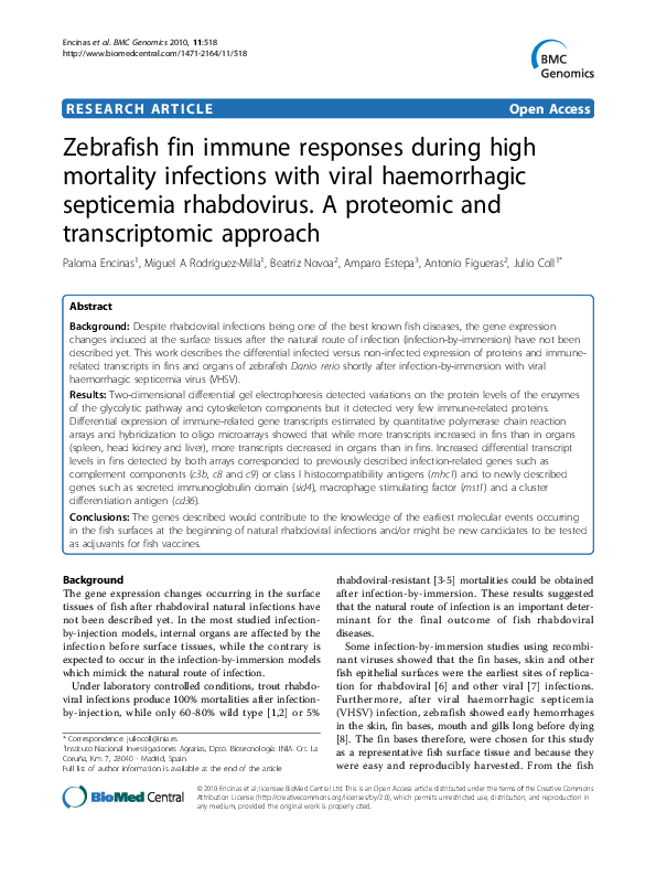 (PDF) Zebrafish fin immune responses during high mortality infections ...