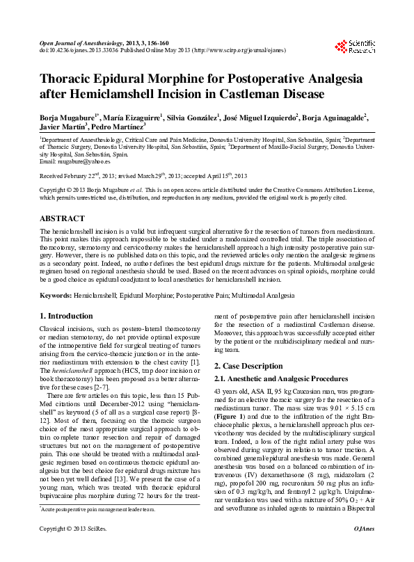 (PDF) Thoracic Epidural Morphine for Postoperative Analgesia after ...