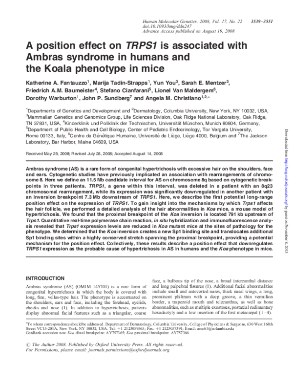 (PDF) A position effect on TRPS1 is associated with Ambras syndrome in ...