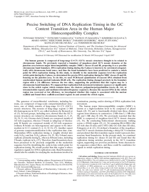 (PDF) Precise switching of DNA replication timing in the GC content transition area in the human ...