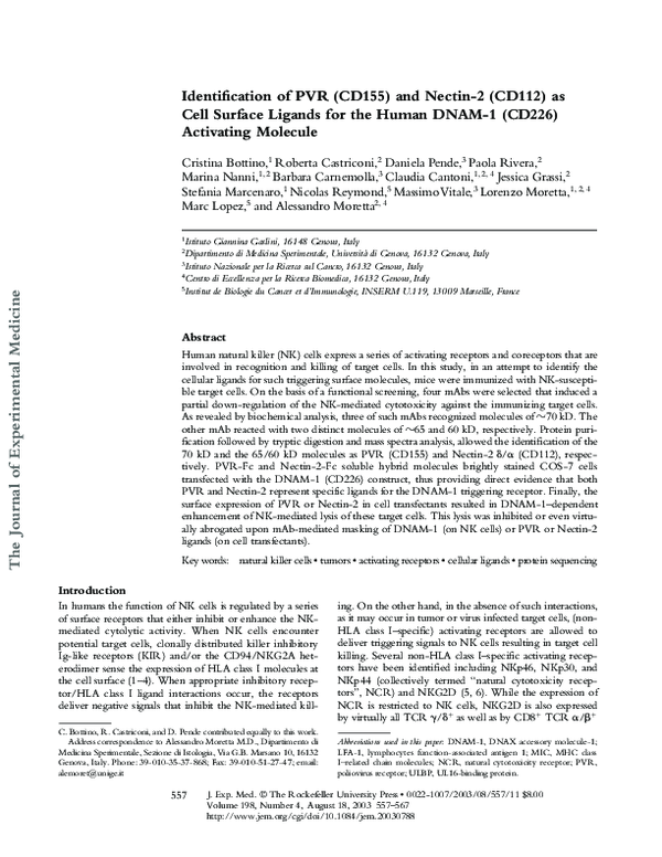 (PDF) Identification of PVR (CD155) and Nectin-2 (CD112) as Cell ...