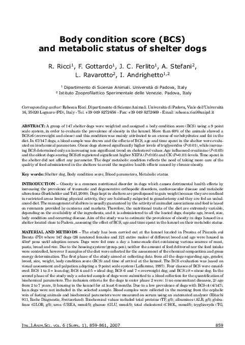 (PDF) Body condition score (BCS) and metabolic status of shelter dogs