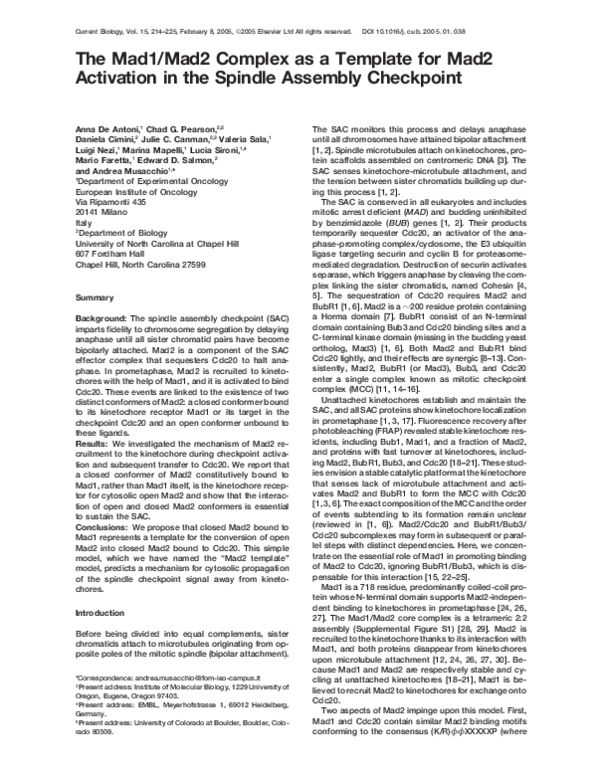 (PDF) The Mad1/Mad2 Complex as a Template for Mad2 Activation in the ...
