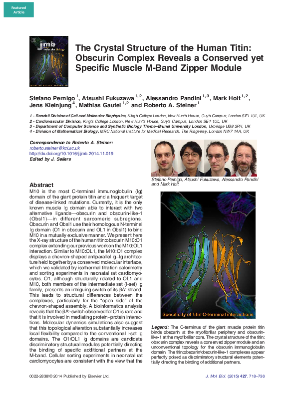 (PDF) Anchoring of the giant muscle protein titin in muscle cells ...