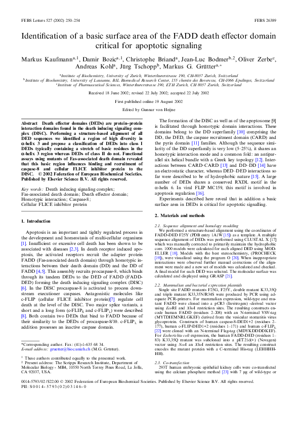 (PDF) Identification of a basic surface area of the FADD death effector ...