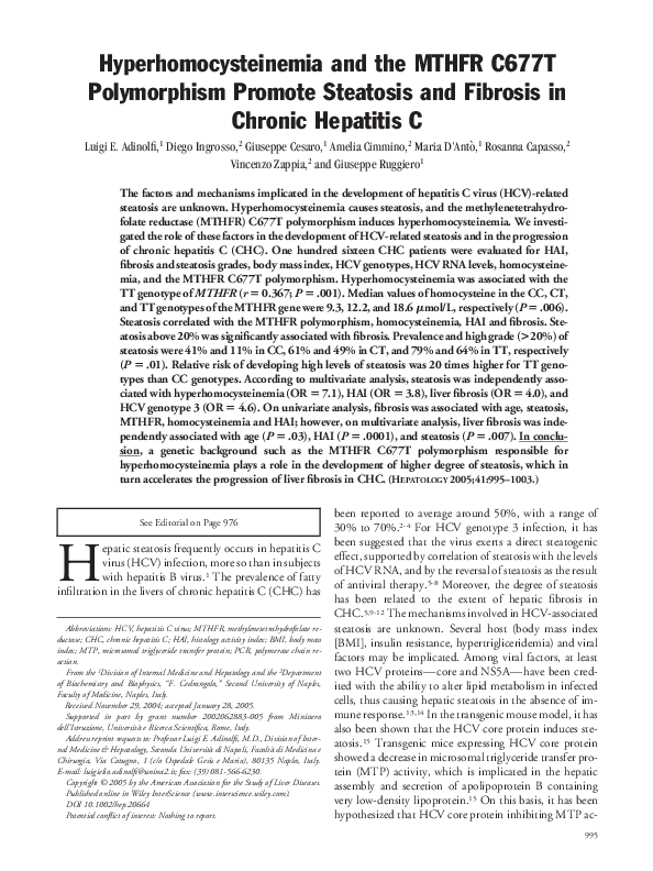(PDF) Hyperhomocysteinemia and the MTHFR C677T polymorphism promote ...