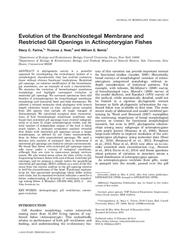 (PDF) Evolution of the branchiostegal membrane and restricted gill ...