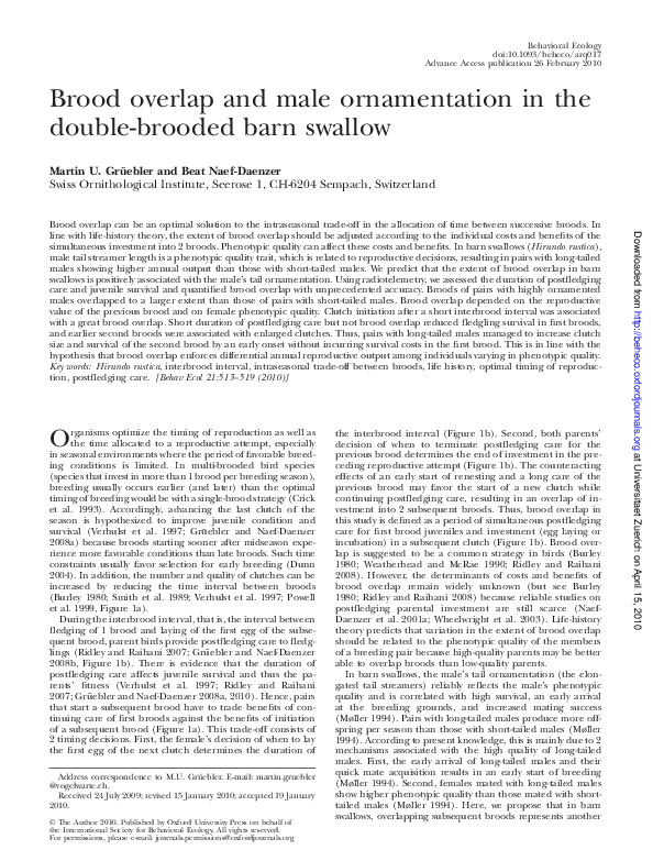 (PDF) Brood overlap and male ornamentation in the double-brooded barn ...