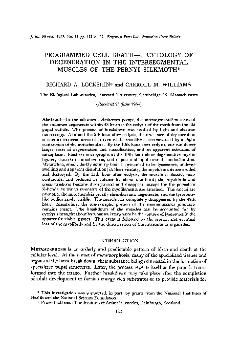 (PDF) Programmed cell death—I. Cytology of degeneration in the ...