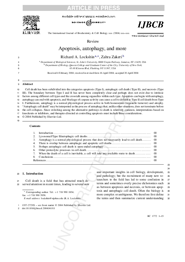(PDF) Apoptosis, autophagy, and more