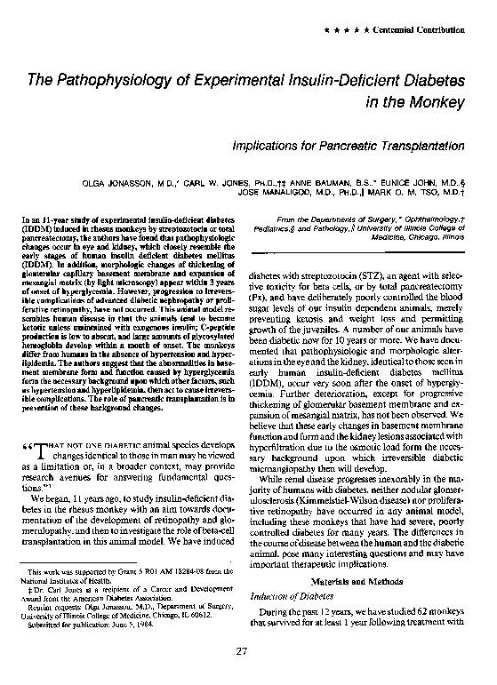 (PDF) The Pathophysiology of Experimental Insulin-Deficient Diabetes in ...