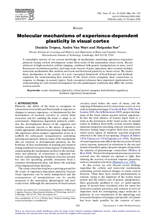 (PDF) Mechanisms of plasticity in the developing and adult visual ...