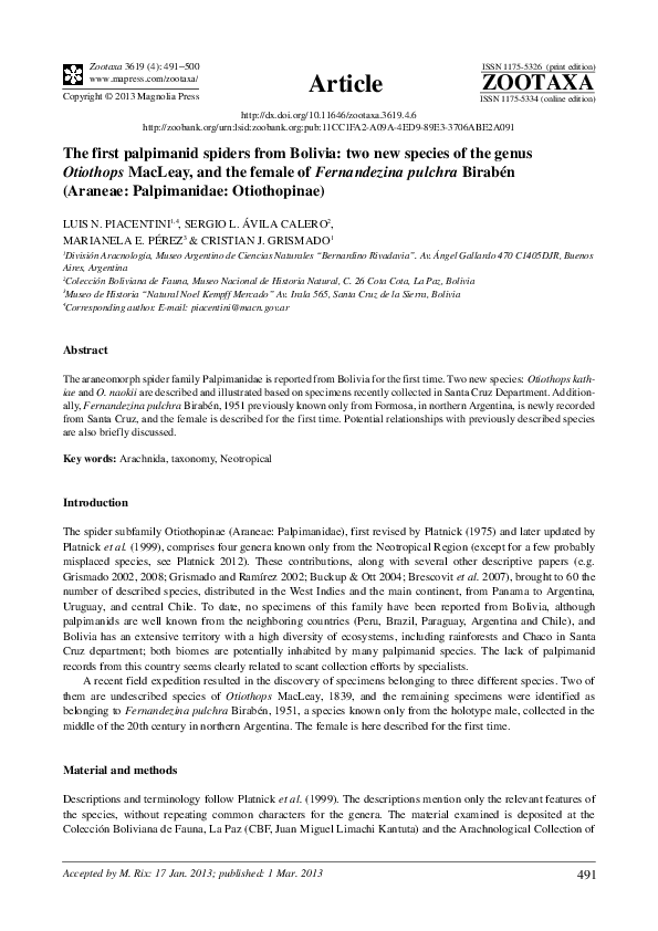 (PDF) The first palpimanid spiders from Bolivia: two new species of the ...