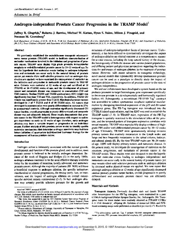 (PDF) Androgen-independent prostate cancer progression in the TRAMP model