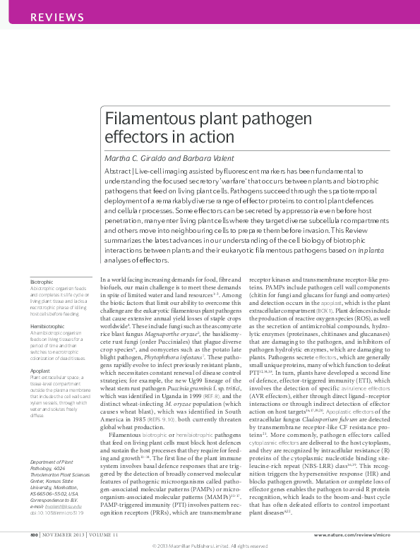 (PDF) Filamentous plant pathogen effectors in action