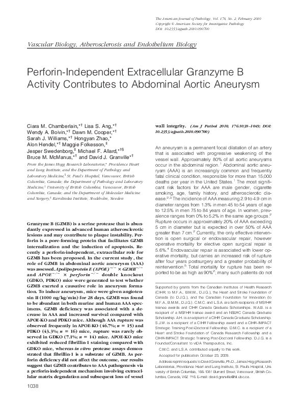 (PDF) Perforin-Independent Extracellular Granzyme B Activity ...