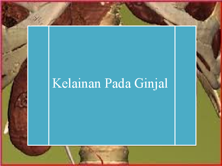 (PPT) anatomi fisiologi ginjal